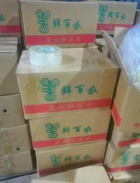 鲜百合不能与什么同吃_百合相克食物有哪些-第1张图片-山城妙识 鲜百合不能与什么同吃_百合相克食物有哪些-第1张图片-山城妙识