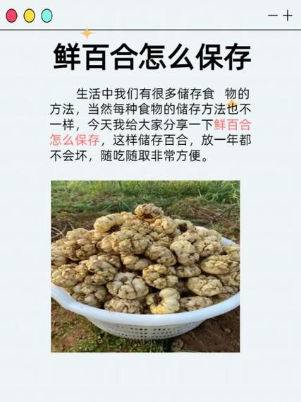 鲜百合不能与什么同吃_百合相克食物有哪些-第2张图片-山城妙识 鲜百合不能与什么同吃_百合相克食物有哪些-第2张图片-山城妙识