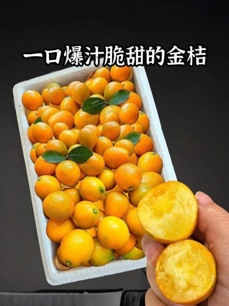 金桔怎么吃最好_金桔的正确吃法-第3张图片-山城妙识