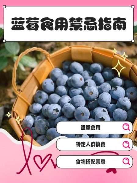 女人吃蓝莓的禁忌_蓝莓对女性的副作用-第3张图片-山城妙识