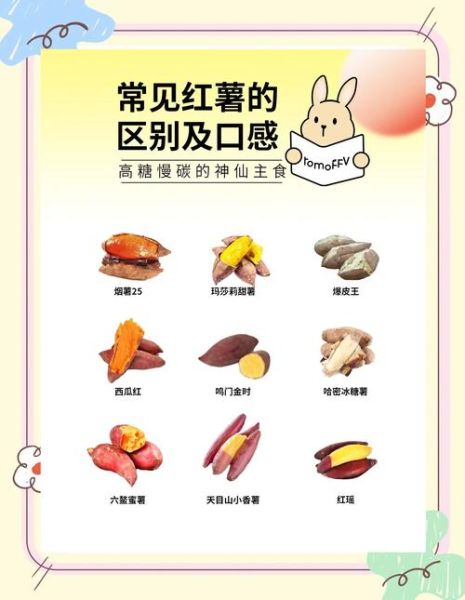 红薯的营养价值_红薯能减肥吗-第2张图片-山城妙识