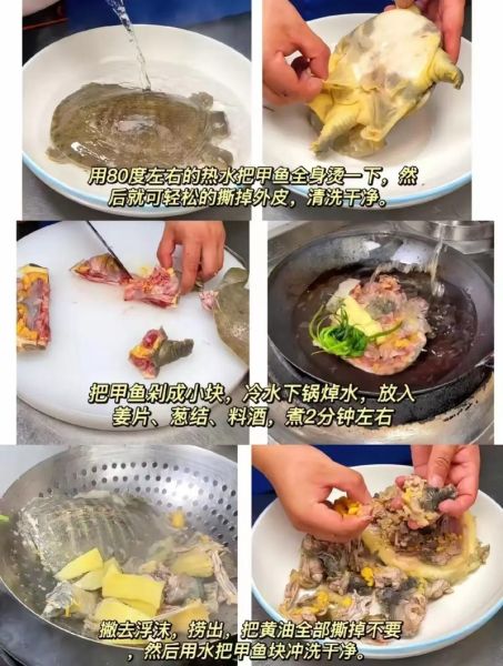 红烧甲鱼怎么做_家常红烧甲鱼的做法窍门-第1张图片-山城妙识