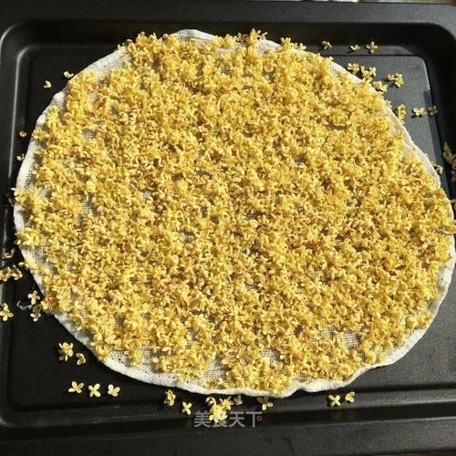 桂花蜜_居无竹txt下载地址在哪-第1张图片-山城妙识