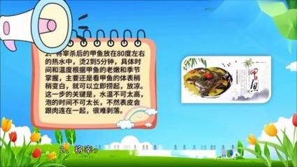 怎么杀甲鱼_甲鱼宰杀视频教程-第3张图片-山城妙识