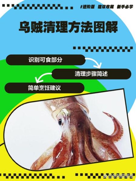 乌贼的营养价值及功效_乌贼怎么吃最健康-第1张图片-山城妙识 乌贼的营养价值及功效_乌贼怎么吃最健康-第1张图片-山城妙识