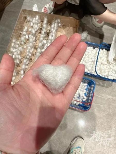 蚕茧怎么抽丝_蚕茧抽丝全过程-第3张图片-山城妙识