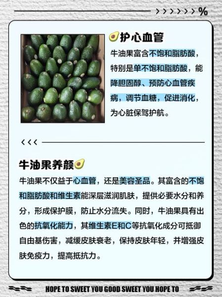 牛油果不能和什么一起吃_牛油果的禁忌人群有哪些-第2张图片-山城妙识