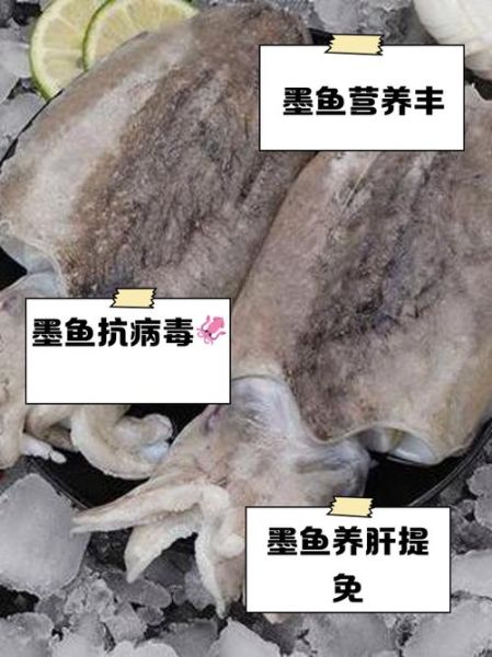 乌贼的营养价值及功效_乌贼怎么吃最健康-第2张图片-山城妙识 乌贼的营养价值及功效_乌贼怎么吃最健康-第2张图片-山城妙识