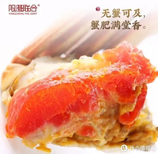 阳澄湖大闸蟹几月份上市_阳澄湖大闸蟹什么时候最肥-第1张图片-山城妙识 阳澄湖大闸蟹几月份上市_阳澄湖大闸蟹什么时候最肥-第1张图片-山城妙识