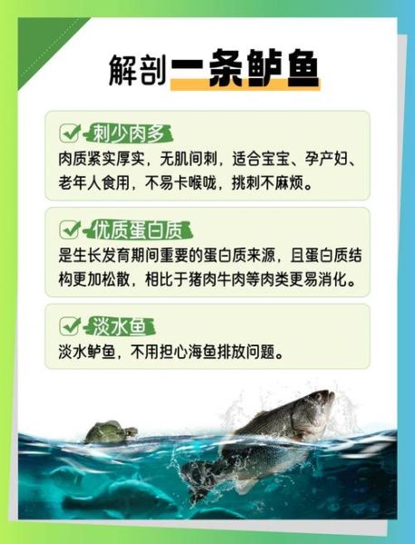 淡水鲈鱼价格最新行情_多少钱一斤-第1张图片-山城妙识 淡水鲈鱼价格最新行情_多少钱一斤-第1张图片-山城妙识