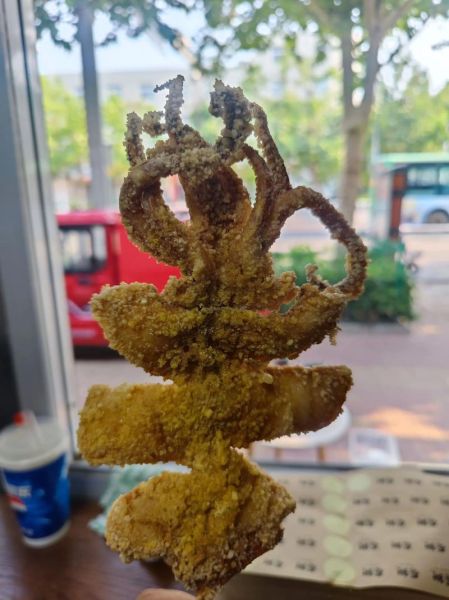 轰炸大鱿鱼怎么做_轰炸大鱿鱼的家常做法-第1张图片-山城妙识 轰炸大鱿鱼怎么做_轰炸大鱿鱼的家常做法-第1张图片-山城妙识