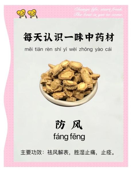 防风的功效与作用_防风能治哪些病-第1张图片-山城妙识