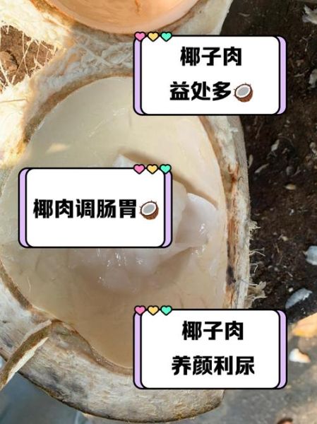 椰肉的营养价值_椰肉的功效与作用-第1张图片-山城妙识