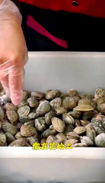 花蛤怎么清洗才干净_花蛤去沙最快的方法-第2张图片-山城妙识