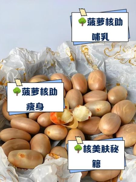 树菠萝核的功效与禁忌_怎么吃才安全-第1张图片-山城妙识 树菠萝核的功效与禁忌_怎么吃才安全-第1张图片-山城妙识