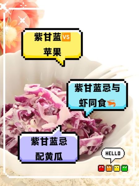 紫甘蓝不能和什么一起吃_紫甘蓝最佳搭配有哪些-第2张图片-山城妙识