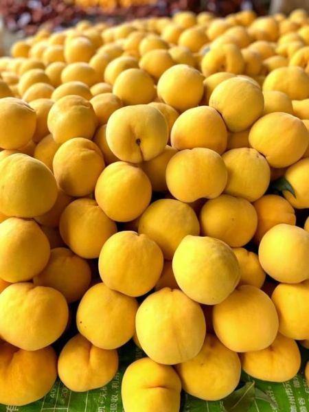 黄桃图库污是什么_如何安全访问黄桃图库污-第1张图片-山城妙识