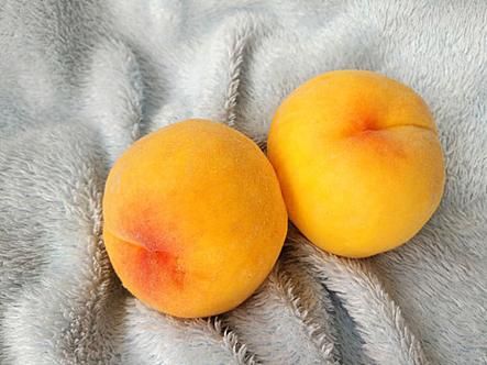 黄桃图库污是什么_如何安全访问黄桃图库污-第3张图片-山城妙识