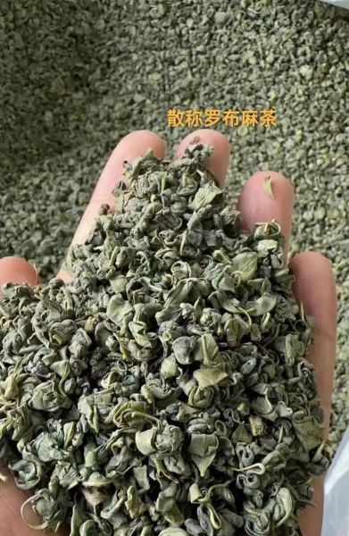 罗布麻茶降血压效果好吗_罗布麻茶怎么喝最有效-第1张图片-山城妙识