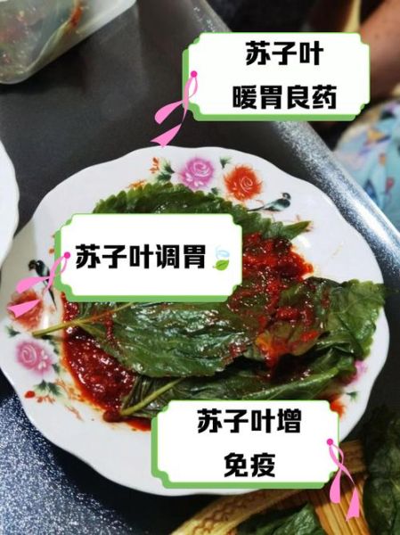 苏子叶不适合哪些人吃_孕妇能吃苏子叶吗-第3张图片-山城妙识