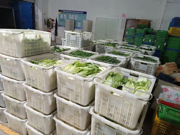 蔬菜配送公司需要什么资质_如何起步-第1张图片-山城妙识