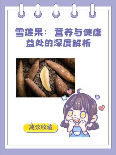 雪莲果的正确吃法_雪莲果的功效与作用-第2张图片-山城妙识