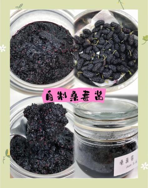 桑葚酱的功效与作用_桑葚酱怎么吃最养生-第1张图片-山城妙识 桑葚酱的功效与作用_桑葚酱怎么吃最养生-第1张图片-山城妙识