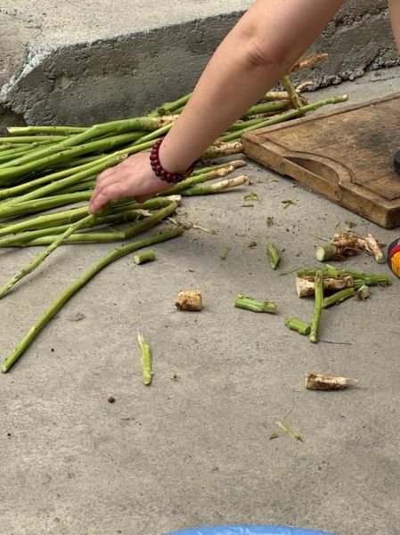 霉苋菜梗怎么做_霉苋菜梗要发酵多久-第3张图片-山城妙识