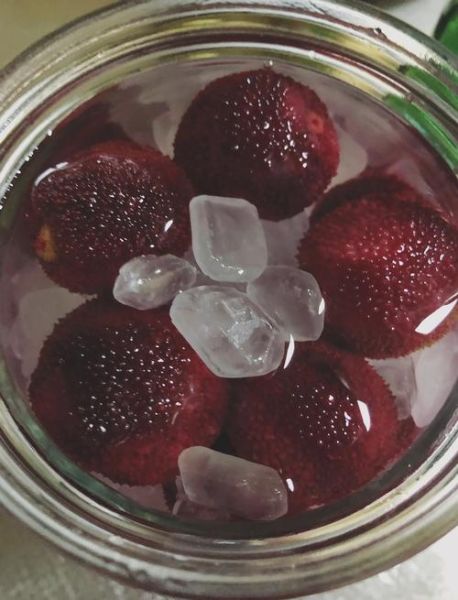 冰镇杨梅酒怎么做_冰镇杨梅酒度数高吗-第2张图片-山城妙识 冰镇杨梅酒怎么做_冰镇杨梅酒度数高吗-第2张图片-山城妙识