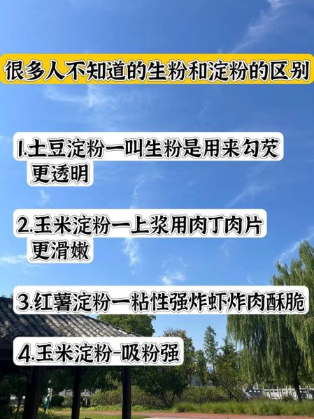 土豆淀粉和生粉是一样的吗_区别与用法全解析-第2张图片-山城妙识