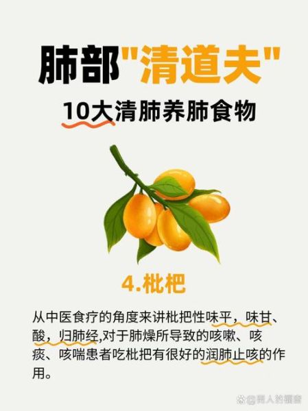 清肺补肺的食物有哪些_怎么吃最有效-第2张图片-山城妙识 清肺补肺的食物有哪些_怎么吃最有效-第2张图片-山城妙识