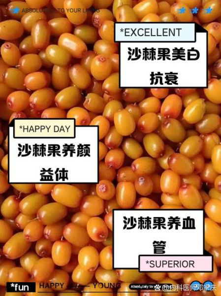 沙棘果怎么食用最好_沙棘果怎么吃最有营养-第3张图片-山城妙识