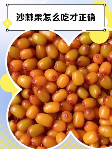 沙棘果怎么食用最好_沙棘果怎么吃最有营养-第2张图片-山城妙识