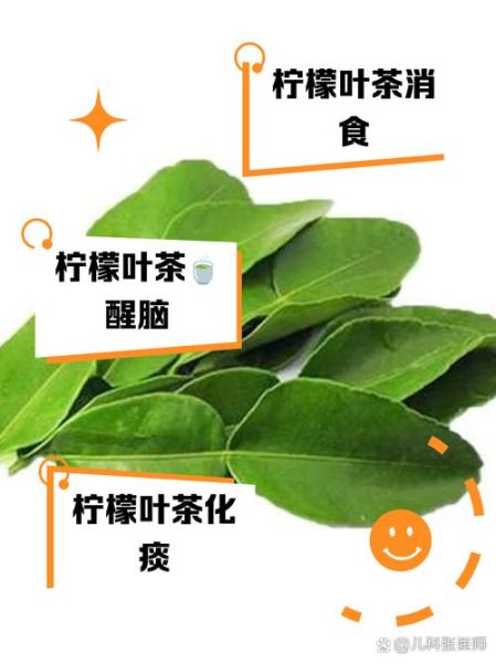 柠檬叶子图片_如何辨别真假-第3张图片-山城妙识 柠檬叶子图片_如何辨别真假-第3张图片-山城妙识