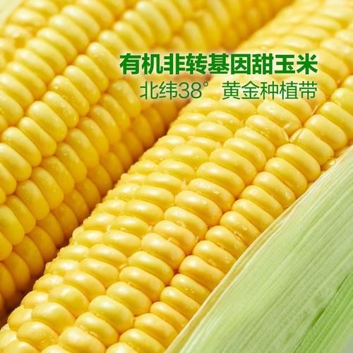 玉米汁玉米和水比例_怎么做浓稠又香甜-第3张图片-山城妙识