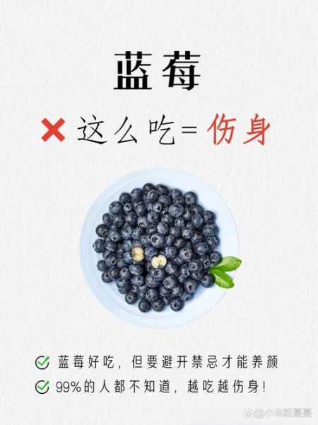 每天吃一把蓝莓坚持一年_身体会发生什么变化-第3张图片-山城妙识