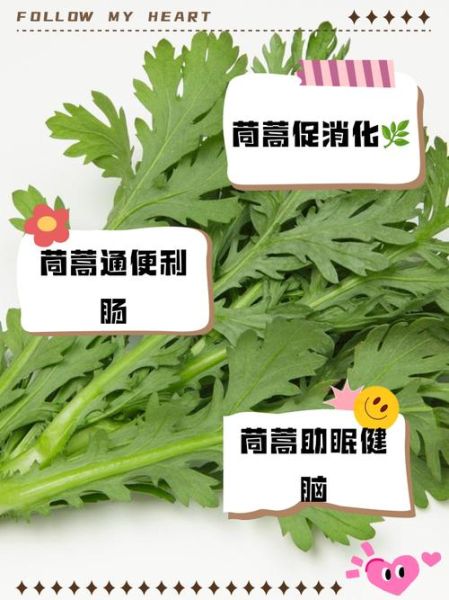 茼蒿的营养价值_茼蒿怎么吃最营养-第3张图片-山城妙识