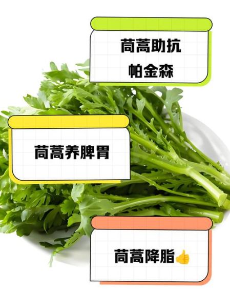 茼蒿的营养价值_茼蒿怎么吃最营养-第2张图片-山城妙识