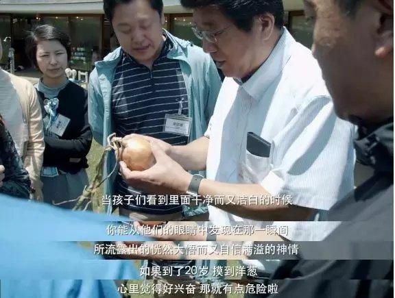 洋葱电影豆瓣评分_洋葱电影剧情解析-第3张图片-山城妙识