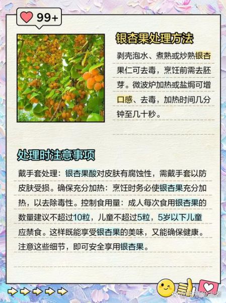 新鲜银杏果怎么处理_银杏果去毒方法-第1张图片-山城妙识