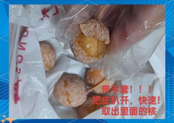 新鲜银杏果怎么处理_银杏果去毒方法-第2张图片-山城妙识