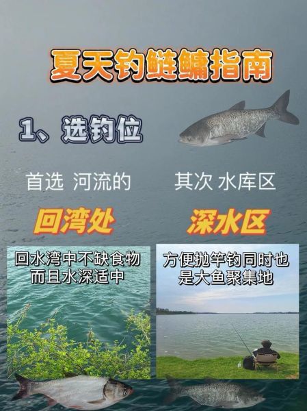 水深6一7米钓鲢鳙应该钓多深_最佳钓层怎么找-第1张图片-山城妙识