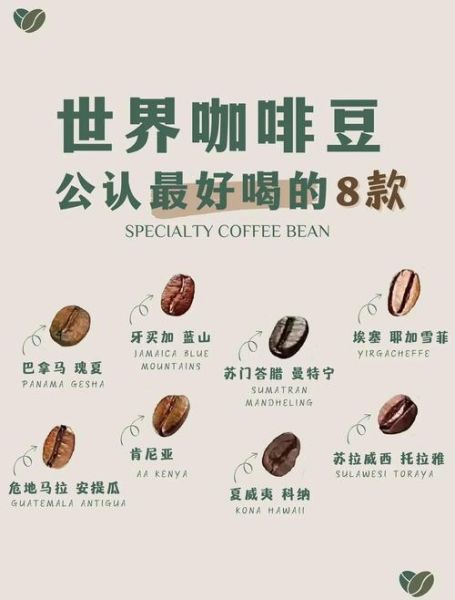 十大咖啡排名_哪种咖啡豆最好喝-第2张图片-山城妙识