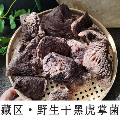 黑虎掌菌炖汤的做法_黑虎掌菌炖汤怎么做好喝-第1张图片-山城妙识