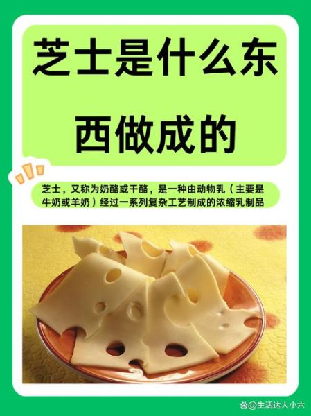 自制芝士怎么做_自制芝士需要哪些材料-第3张图片-山城妙识 自制芝士怎么做_自制芝士需要哪些材料-第3张图片-山城妙识