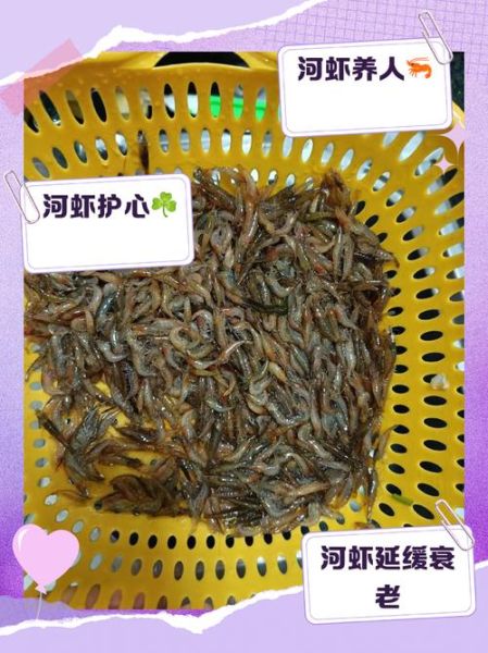 野生小河虾怎么做好吃_野生小河虾的营养价值-第1张图片-山城妙识