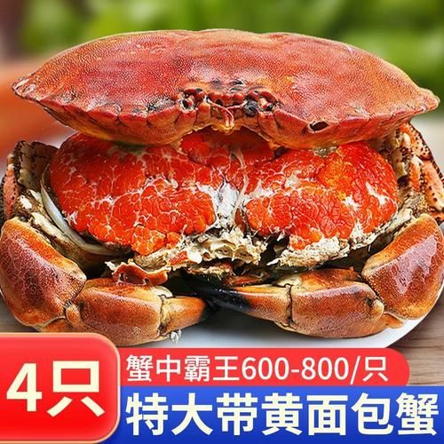 面包蟹和梭子蟹哪个好吃_区别与选购指南-第2张图片-山城妙识