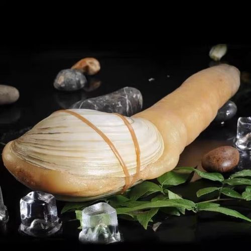 象拔蚌价格多少钱一斤_象拔蚌为什么这么贵-第1张图片-山城妙识 象拔蚌价格多少钱一斤_象拔蚌为什么这么贵-第1张图片-山城妙识