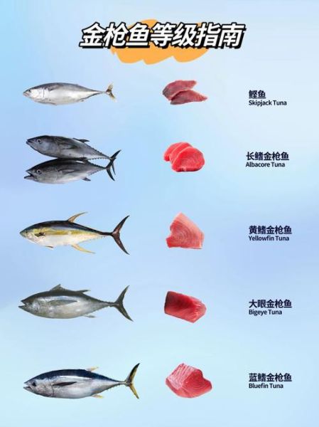 金枪鱼口感像什么肉_和牛肉对比-第3张图片-山城妙识