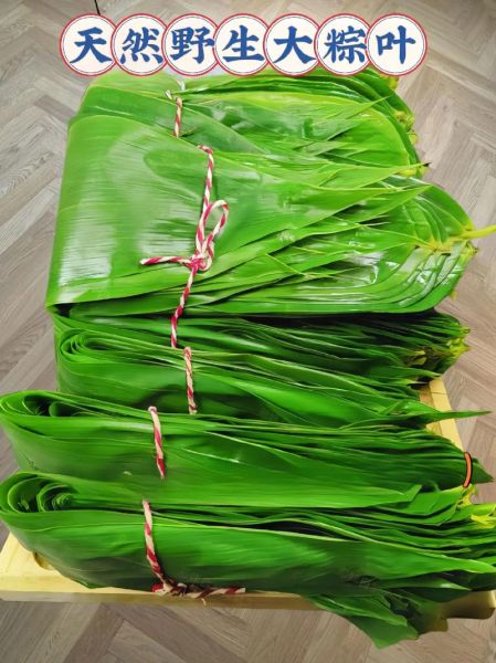 包粽子需要哪些材料_粽子叶选哪种最好-第2张图片-山城妙识 包粽子需要哪些材料_粽子叶选哪种最好-第2张图片-山城妙识